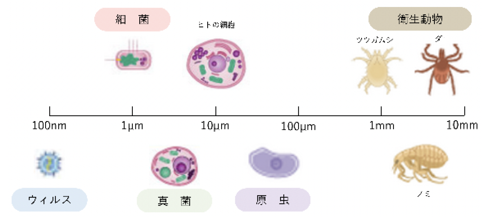 衛生管理 – WMTC BLOG